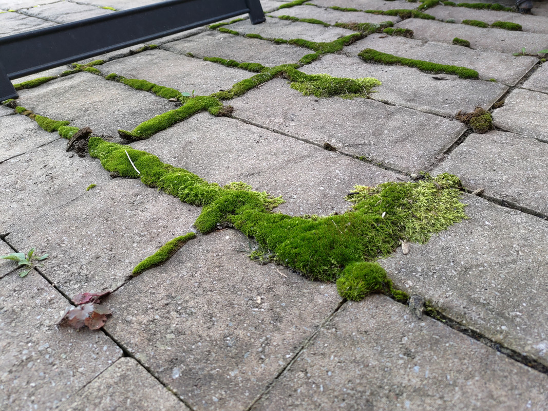 P 20221006 082624 — Postimages