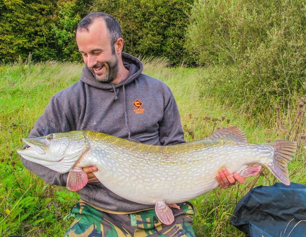 8 A0 B188 E 685 D 4 E08 BF6 F 7809 F6 A164 A7 — Postimages