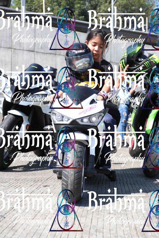 IMG 1245 — Postimages