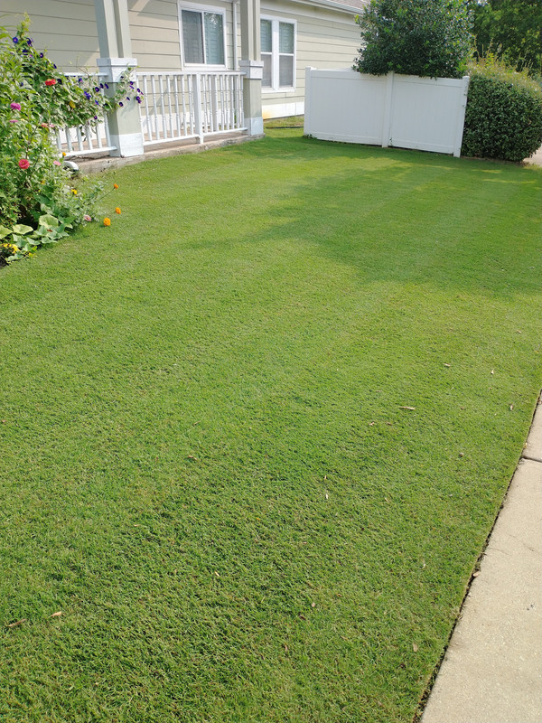 Lawn 2020 — Postimages