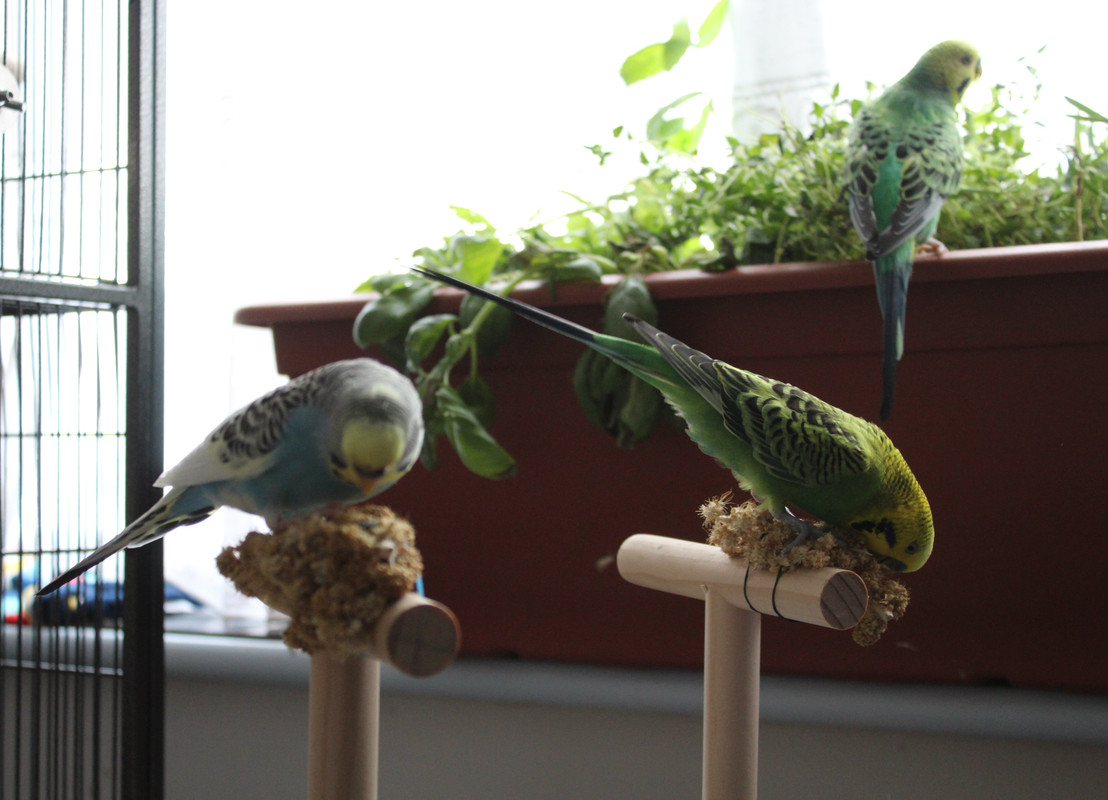 20230723085708 img 0523 — Postimages