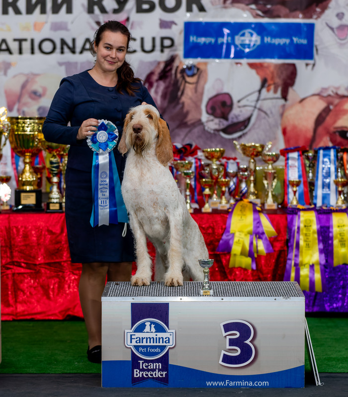 30 1261 — Postimages