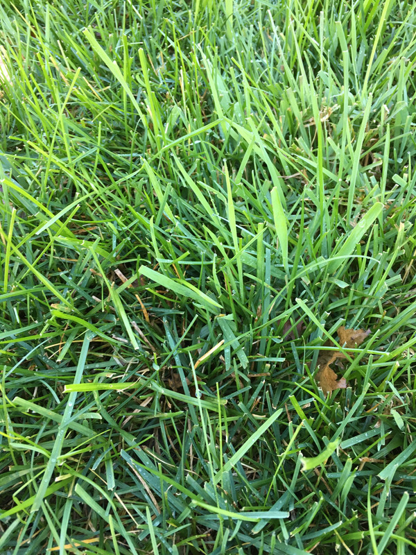 IMG 1174 — Postimages