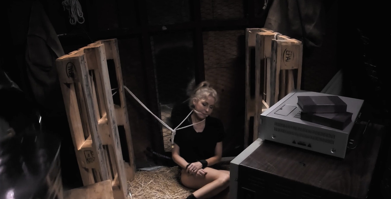 IMG 6961 — Postimages