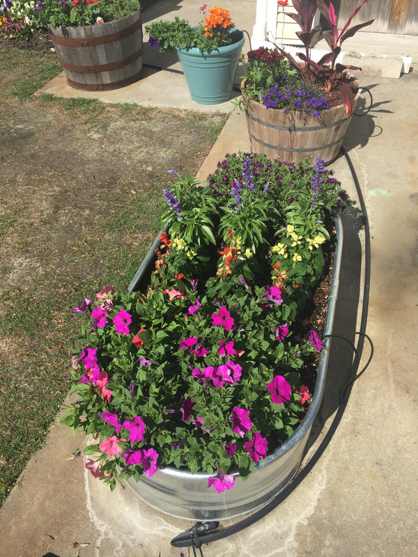 IMG 5284 — Postimages