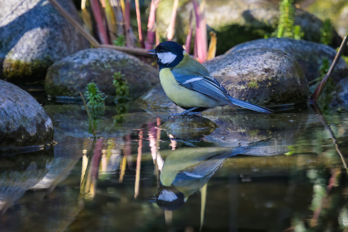 DSC 0647 Edit Edit — Postimages