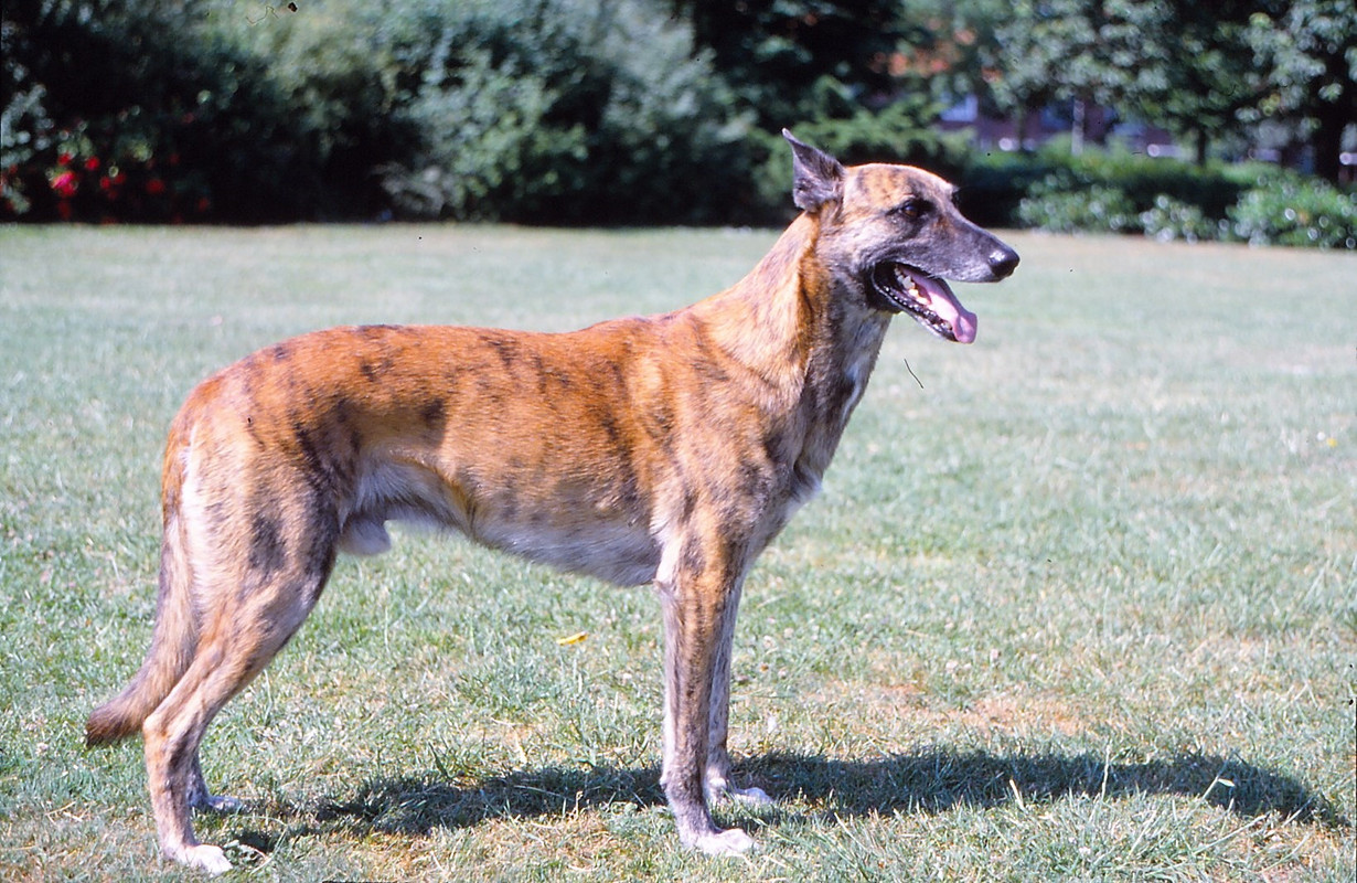 IMG 20140123 0011 — Postimages