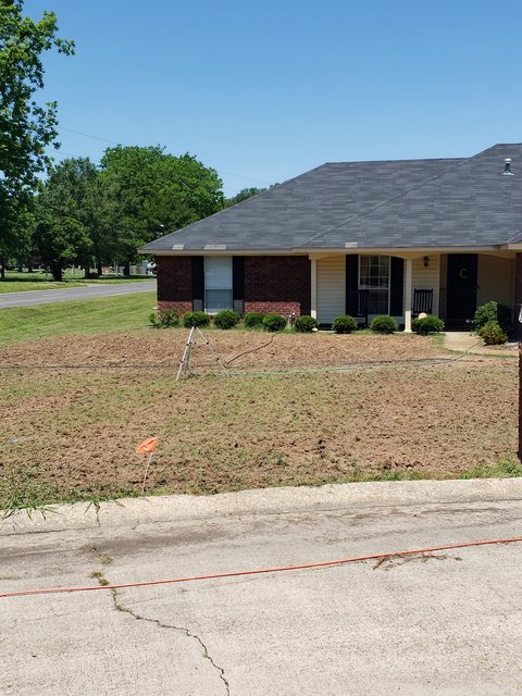 Louisiana Arden 15 Reno | Lawn Care Forum
