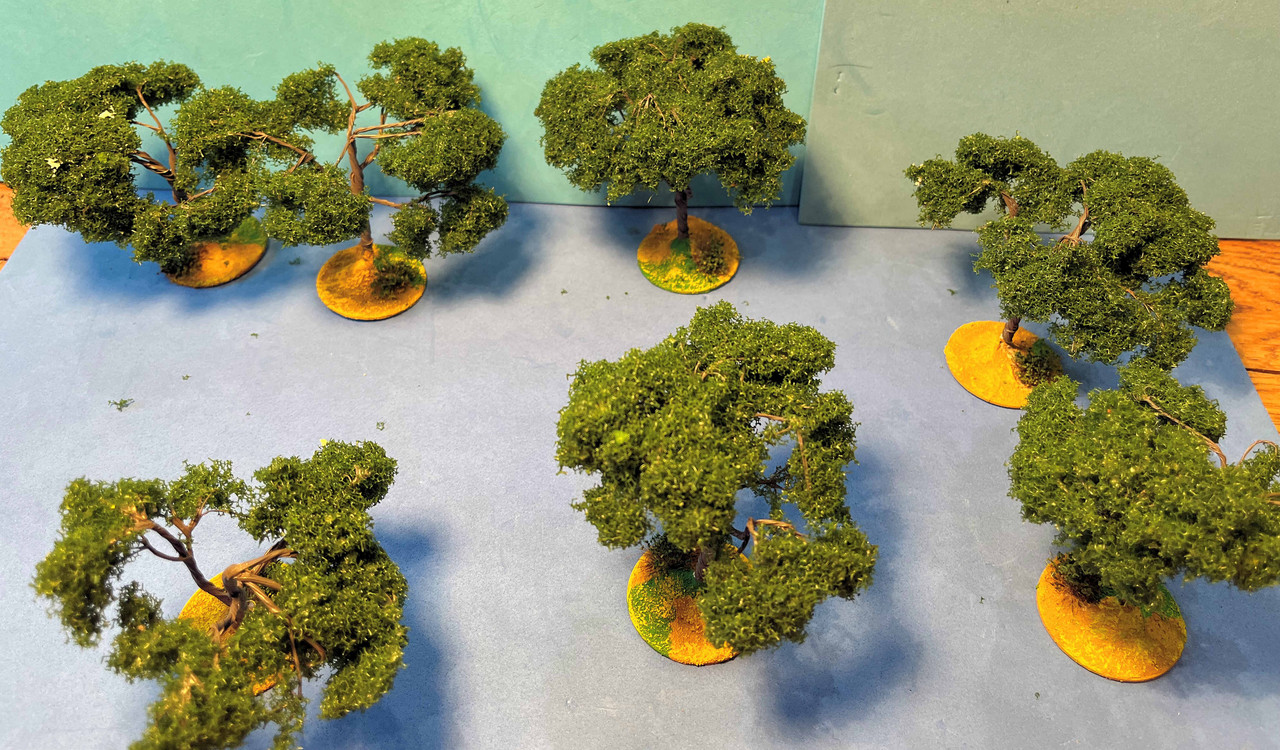 African trees 2 — Postimages