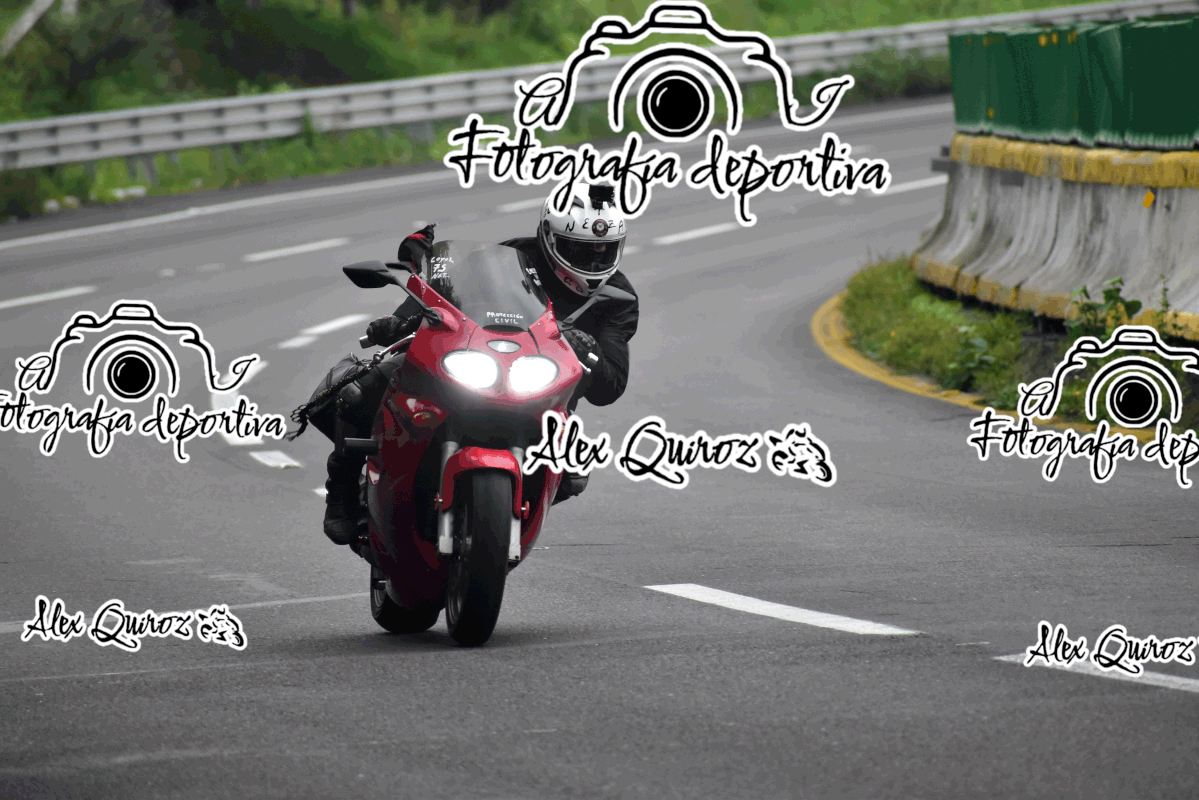 AVQ 0005 — Postimages