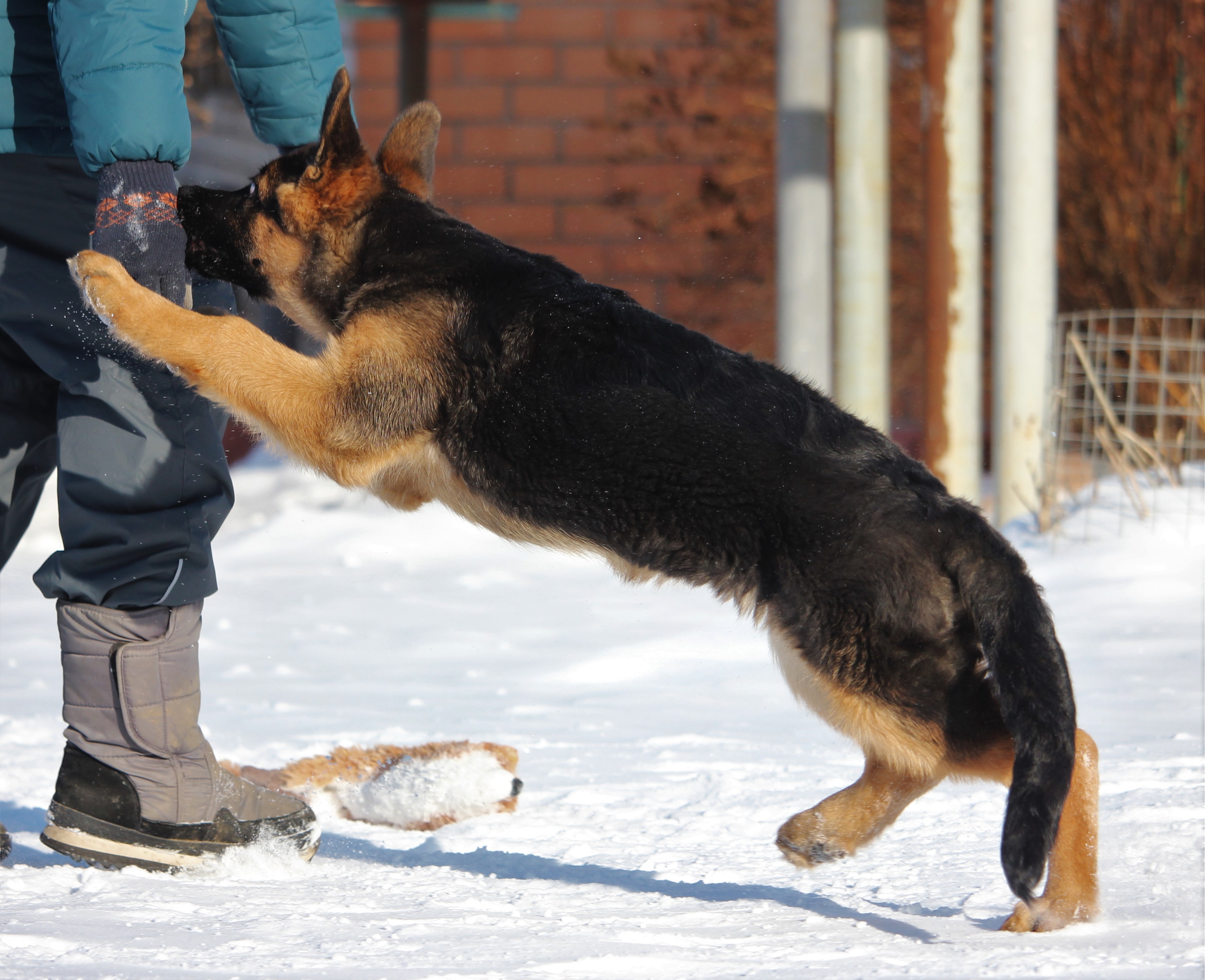 IMG 1978 — Postimages