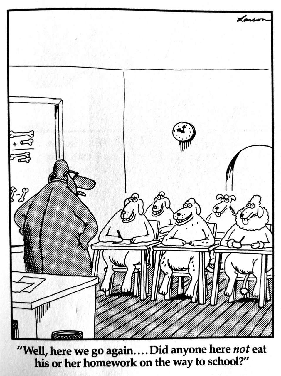 far side homework — Postimages