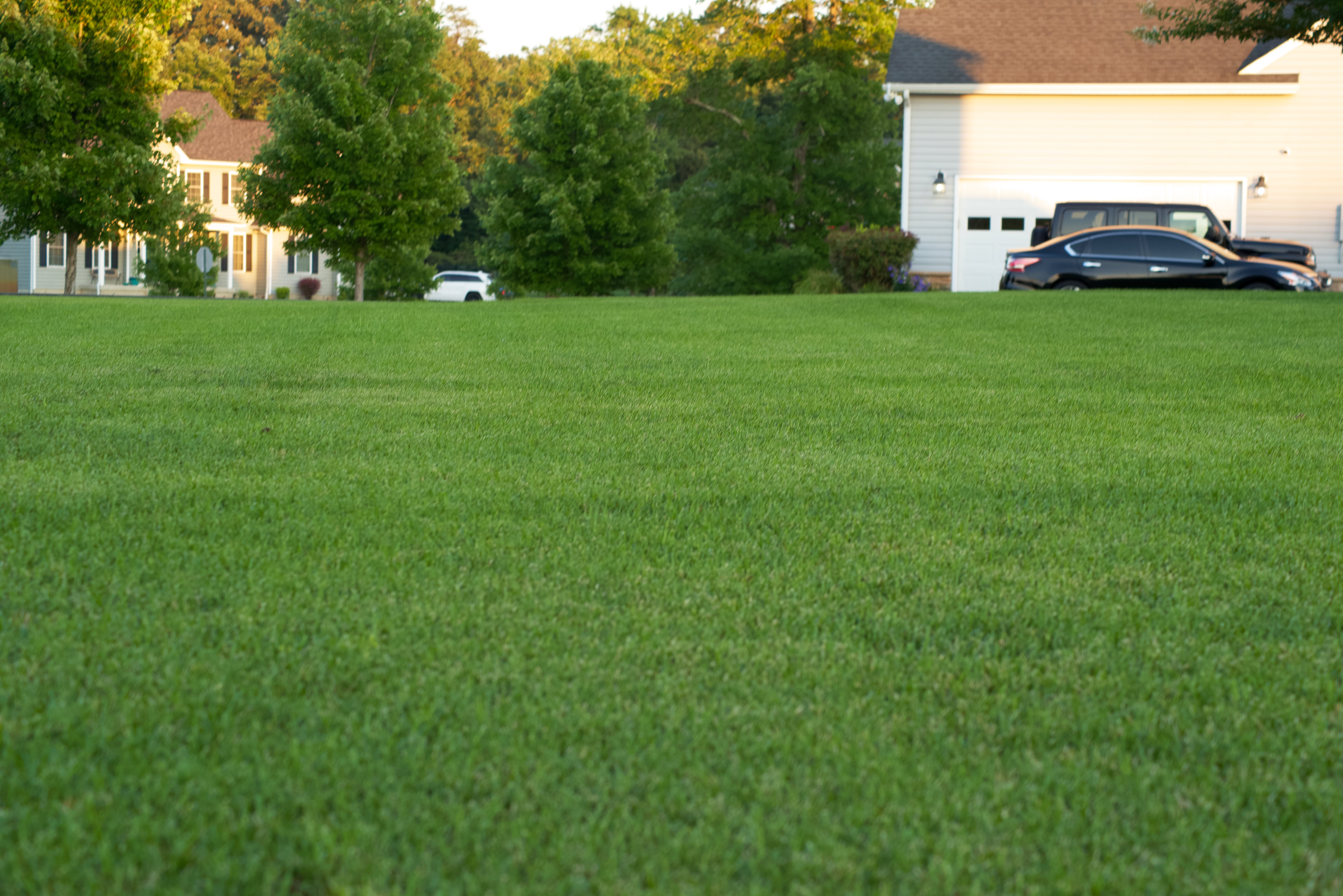 EGW 7135 — Postimages