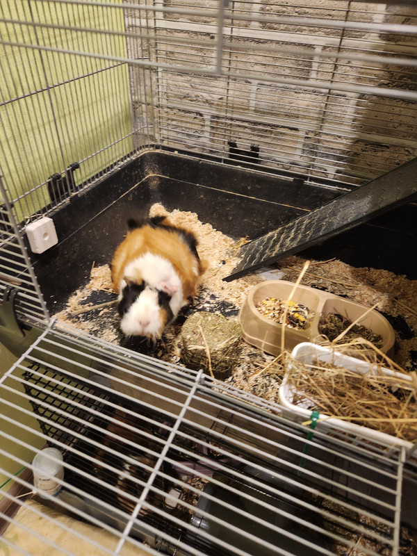 20241017 211034 — Postimages