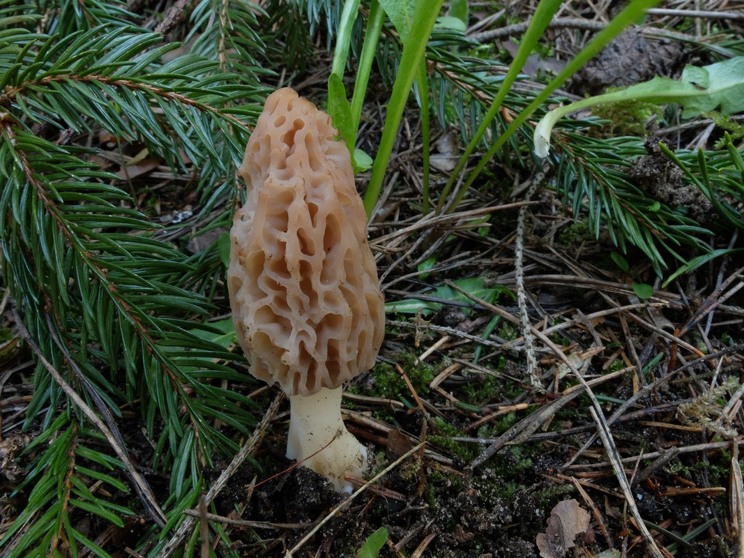 DSCF9969 (web 1280x1024) — Postimages