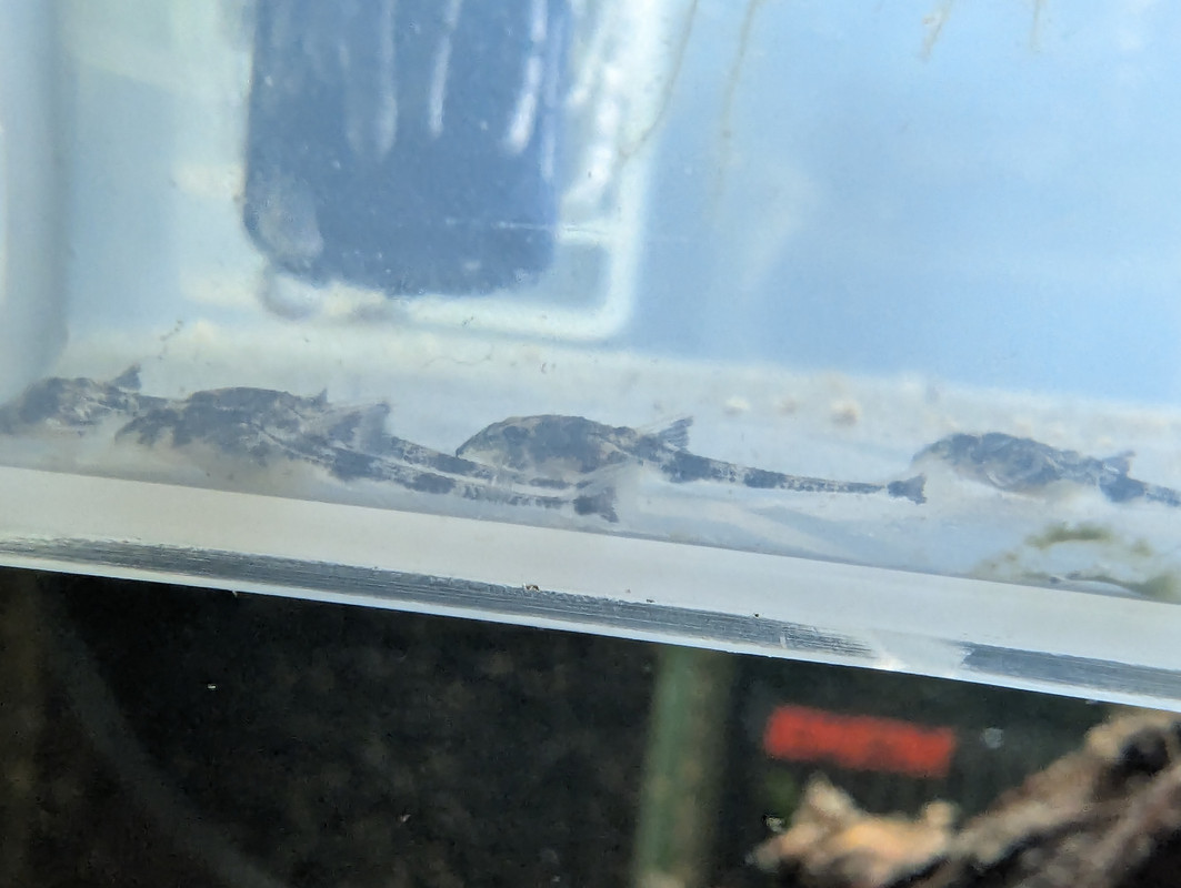 PXL 20241216 221251146 MP — Postimages