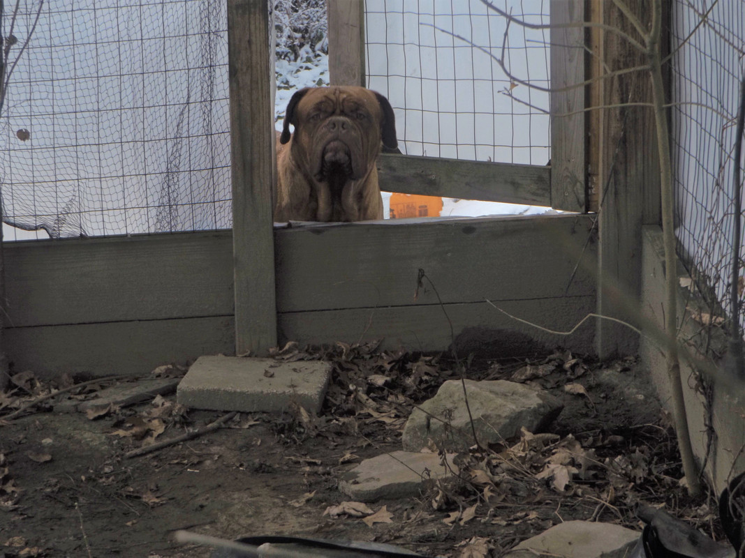 winter 2023 — Postimages