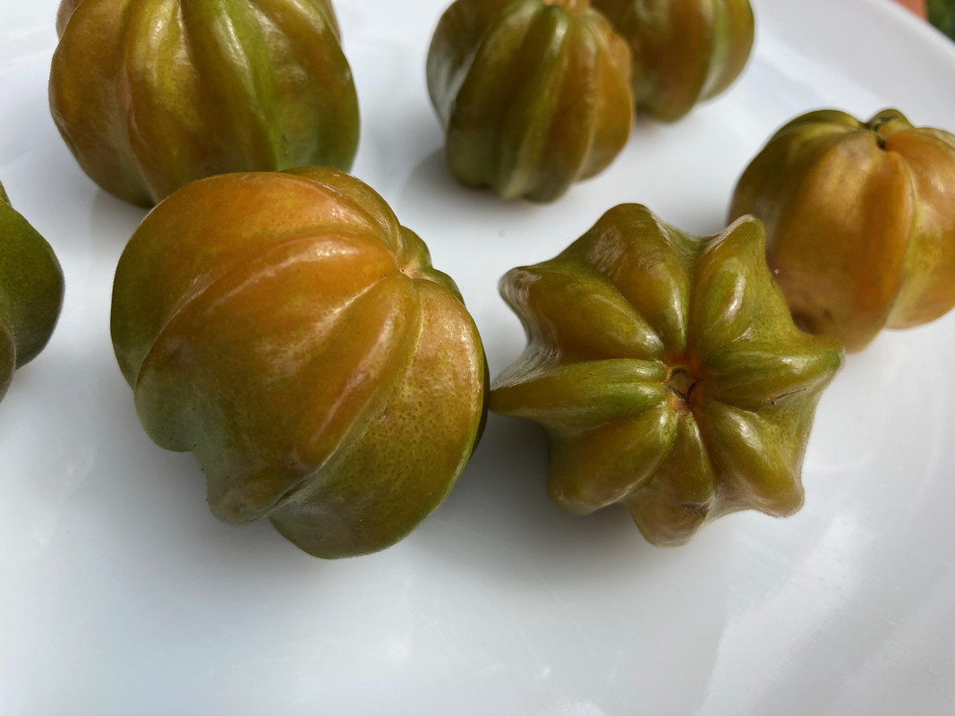 IMG 2193 — Postimages