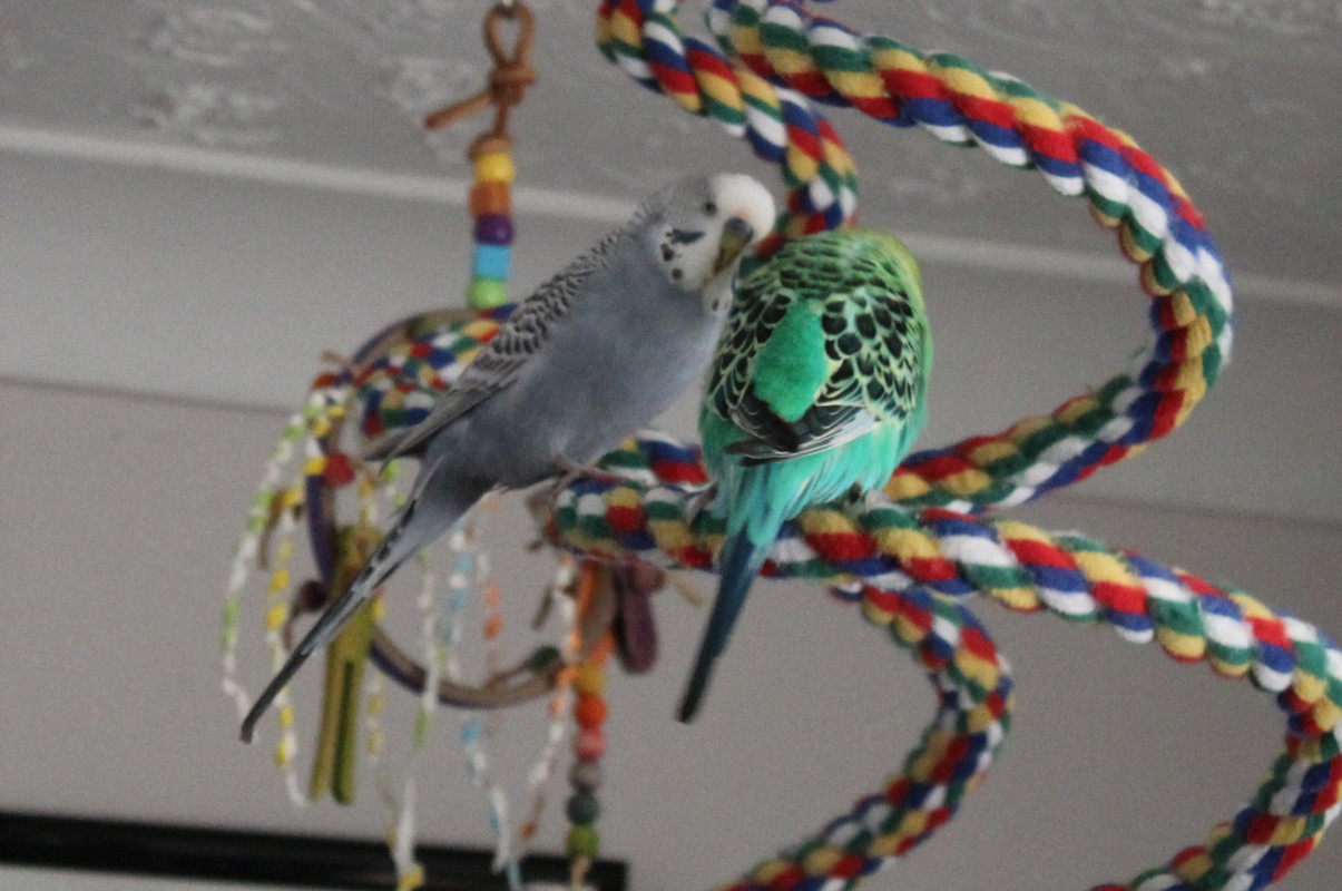 20231201152728 IMG 2016 — Postimages