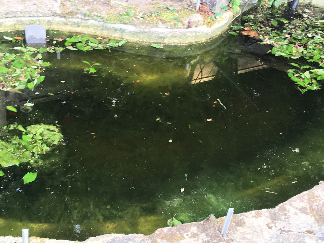 IMG 1237 — Postimages