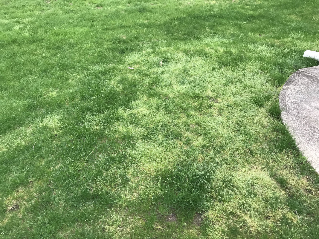 IMG 0472 — Postimages