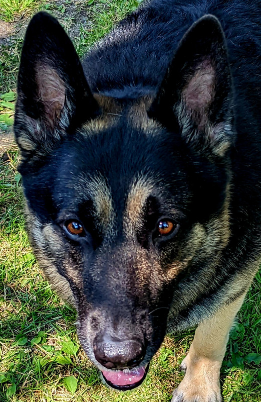 image000000(6) — Postimages