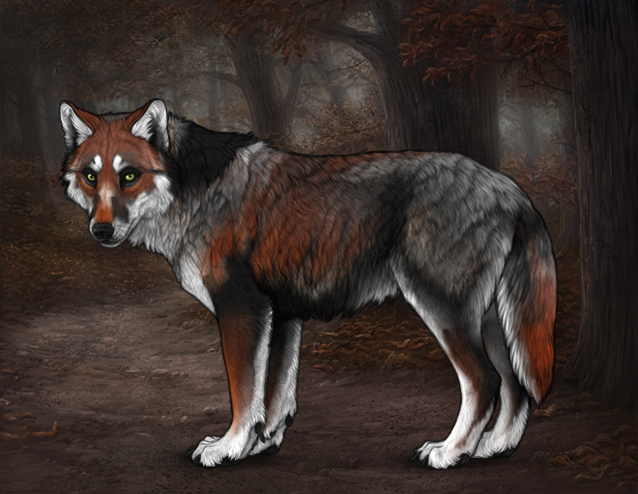 Get paid to design a stud. Offering 50 GC! | Ends 11/30 |:| Wolvden