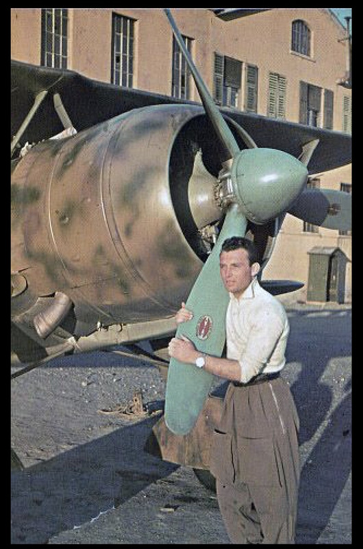 WW2 Italian “Celeste” prop color - Aircraft WWII - Britmodeller.com