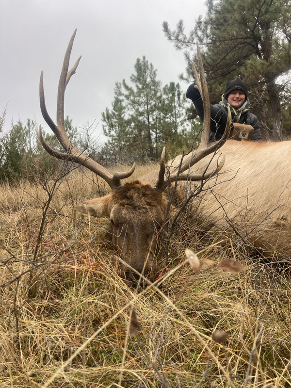 Little Man gets his first bull - 24hourcampfire