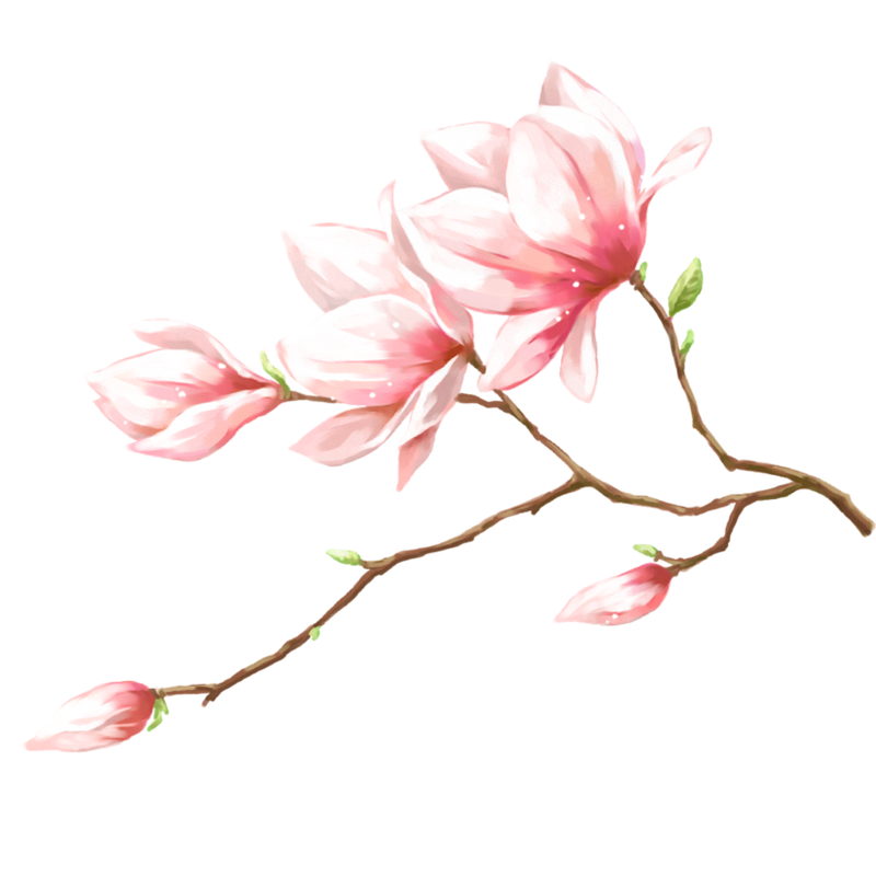 flower — Postimages