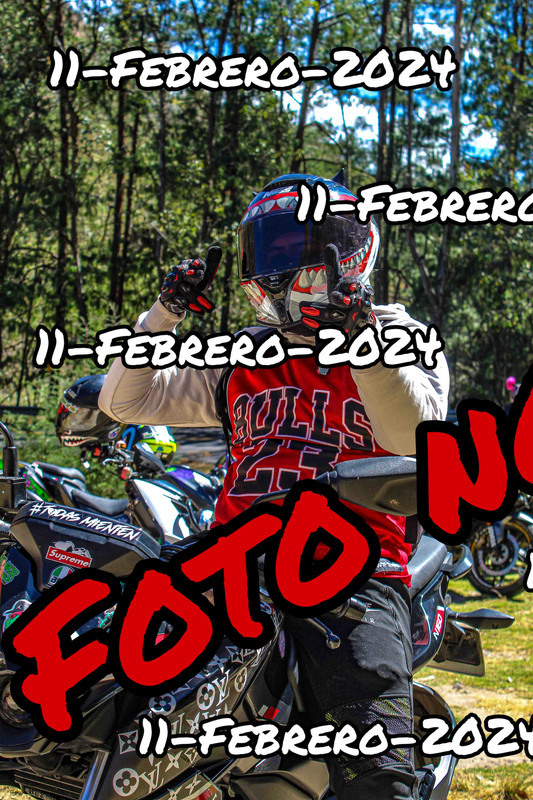 SC 213 — Postimages