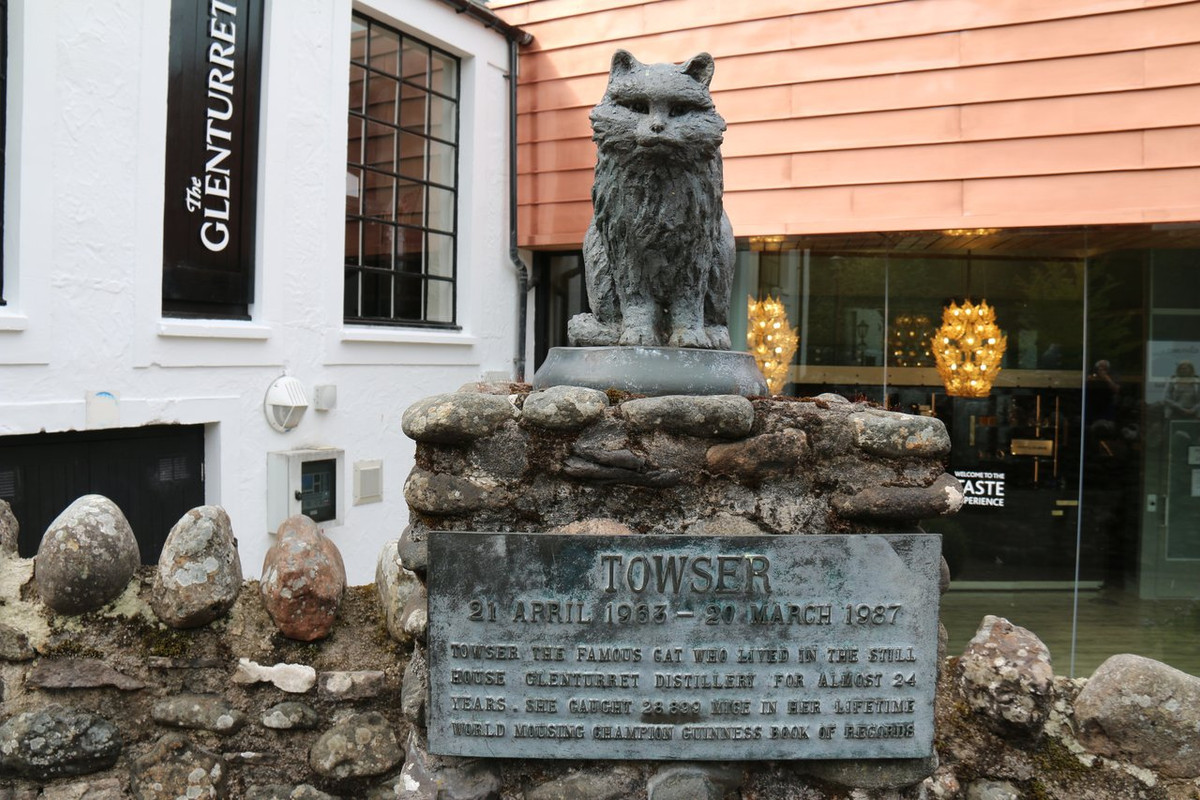 SWC 300 & Kintyre 66 Road Trips | The M3cutters