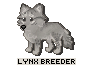 samantha.ツ |:| Wolvden
