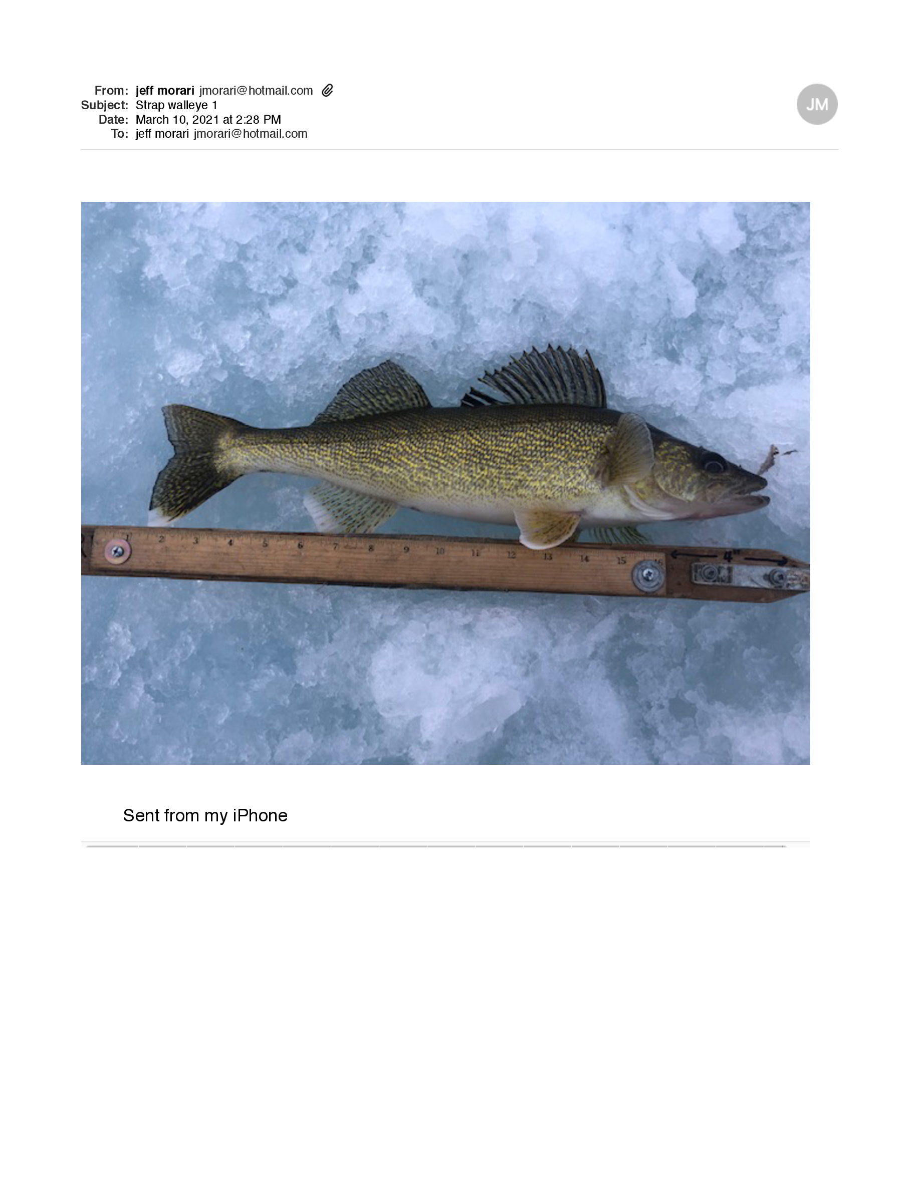 Strap walleye 1 — Postimages