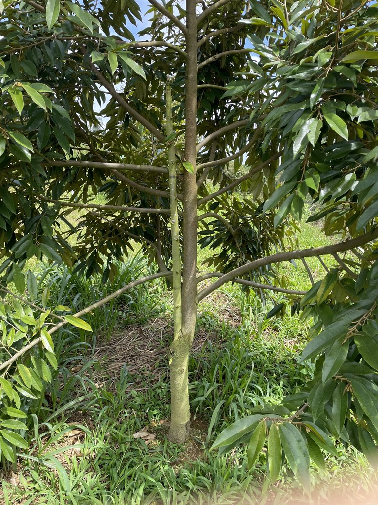 IMG 1279 — Postimages