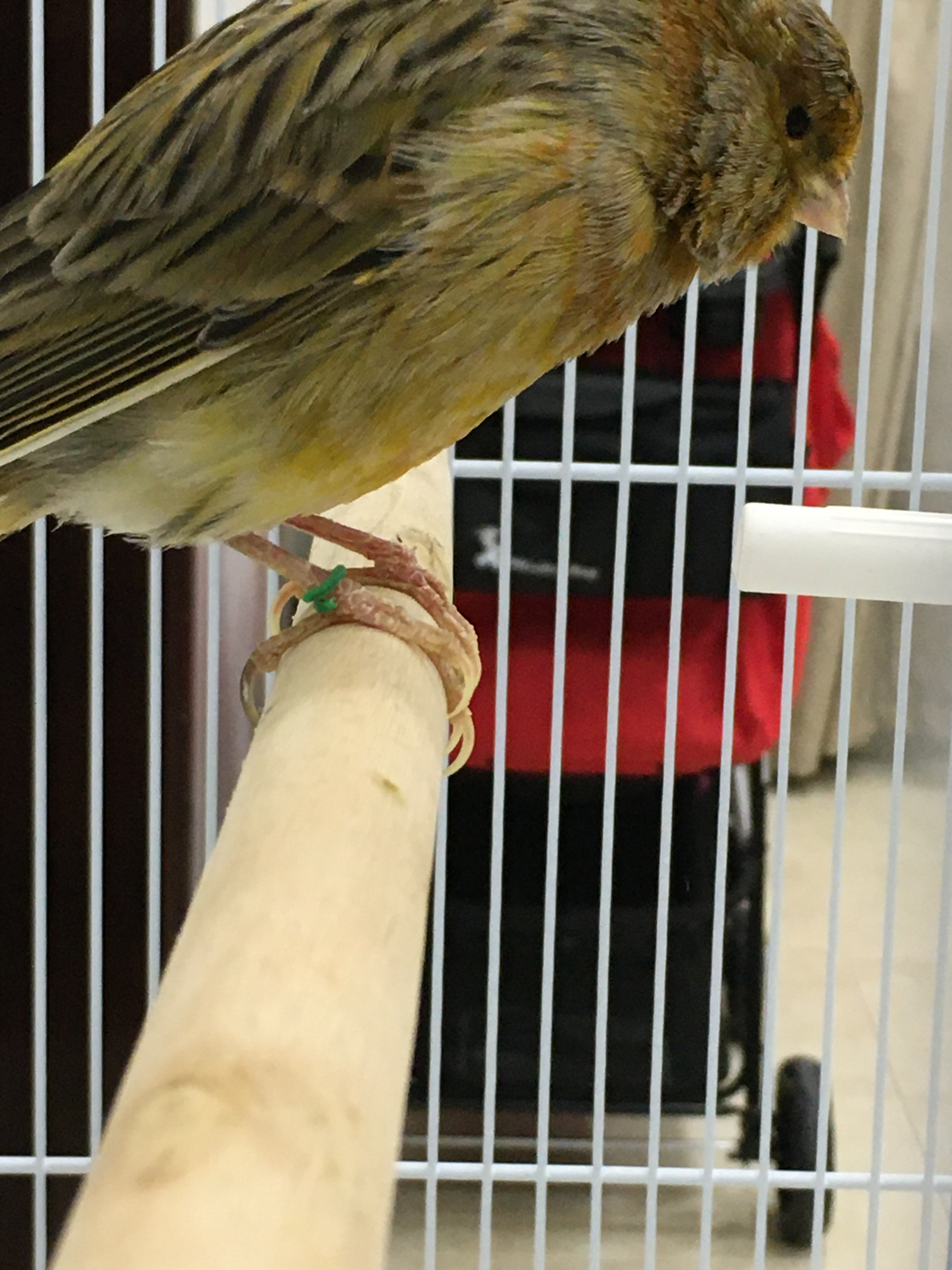 IMG 3277 — Postimages