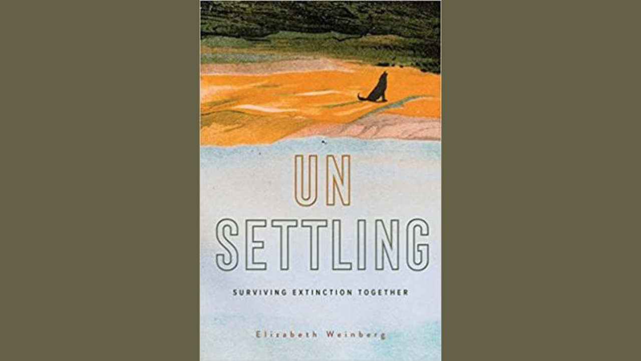 Amid climate change, a reminder of what’s worth saving | The Christian ...