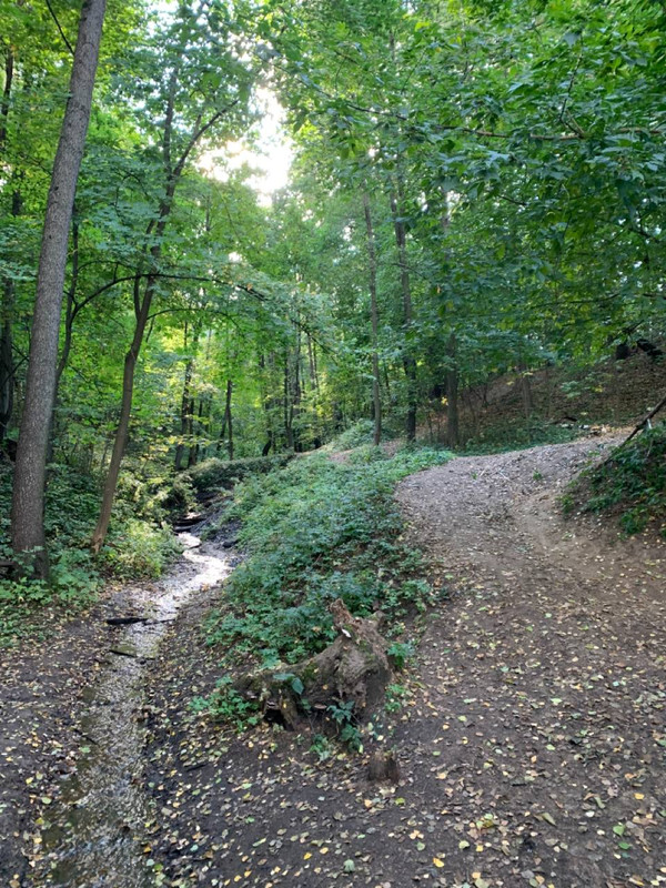 msg 904378645 62995 — Postimages