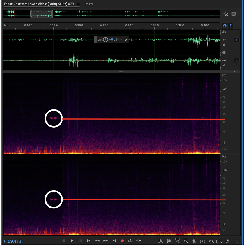 Example 1 Isolated — Postimages