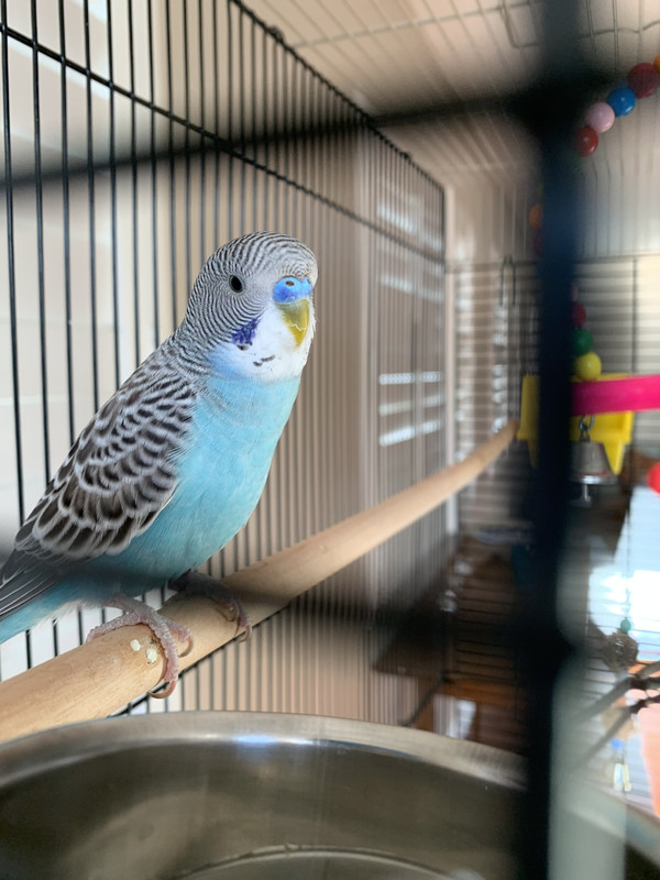 Baby TP — Postimages