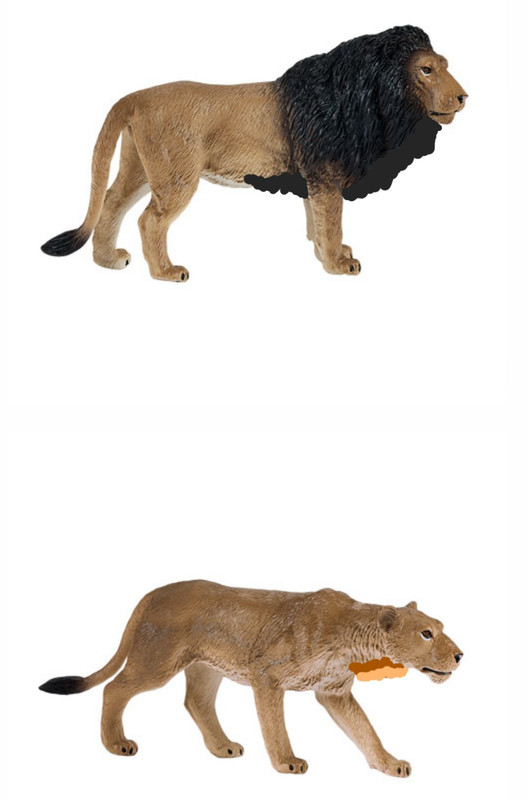 Screenshot 20231206 120151 Chrome — Postimages