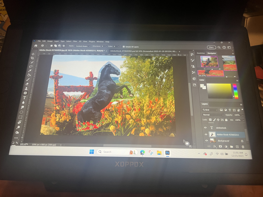 IMG 6161 — Postimages