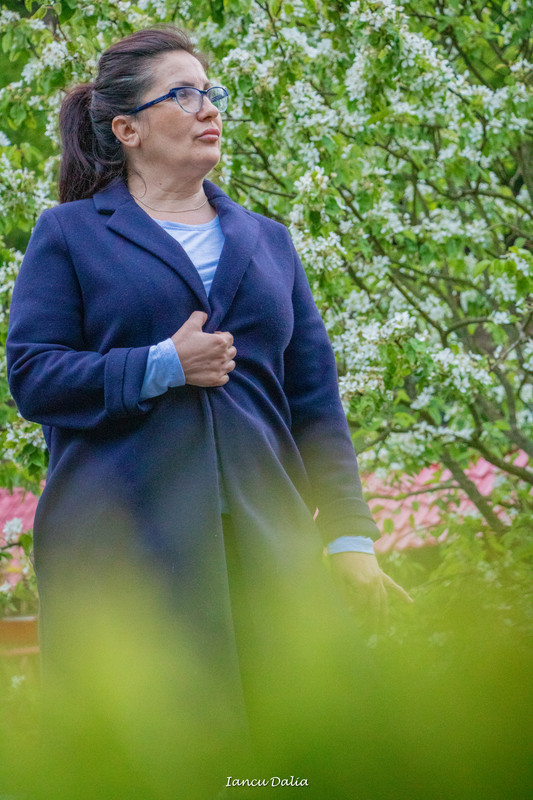 Denis 337 — Postimages