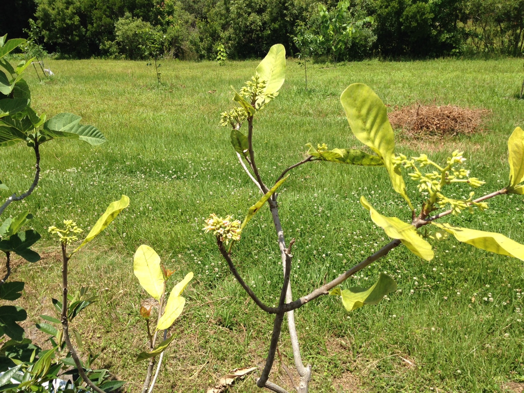 IMG 1663 — Postimages