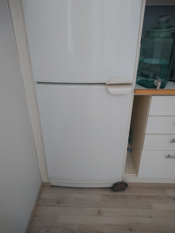 DSC 0135 — Postimages