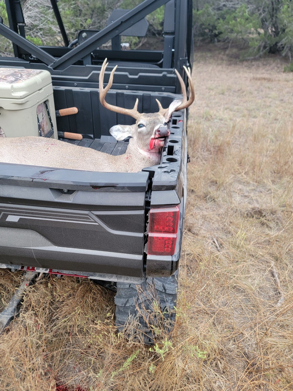 Attachment — Postimages