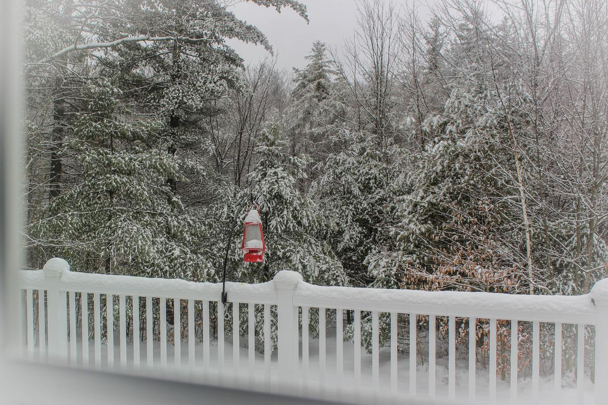 Window — Postimages