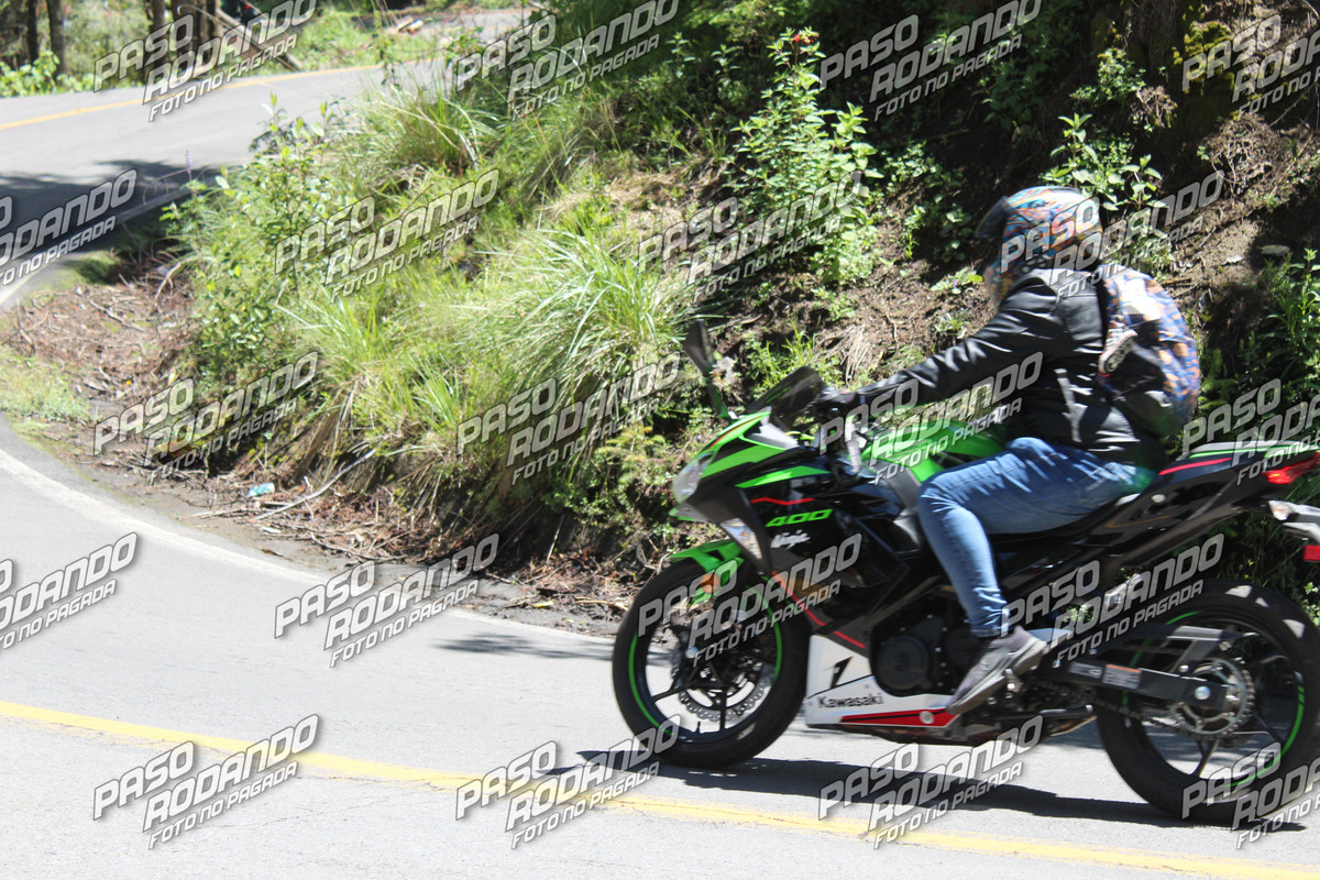 IMG 8136 wm 9276412 100000001 watermarked — Postimages