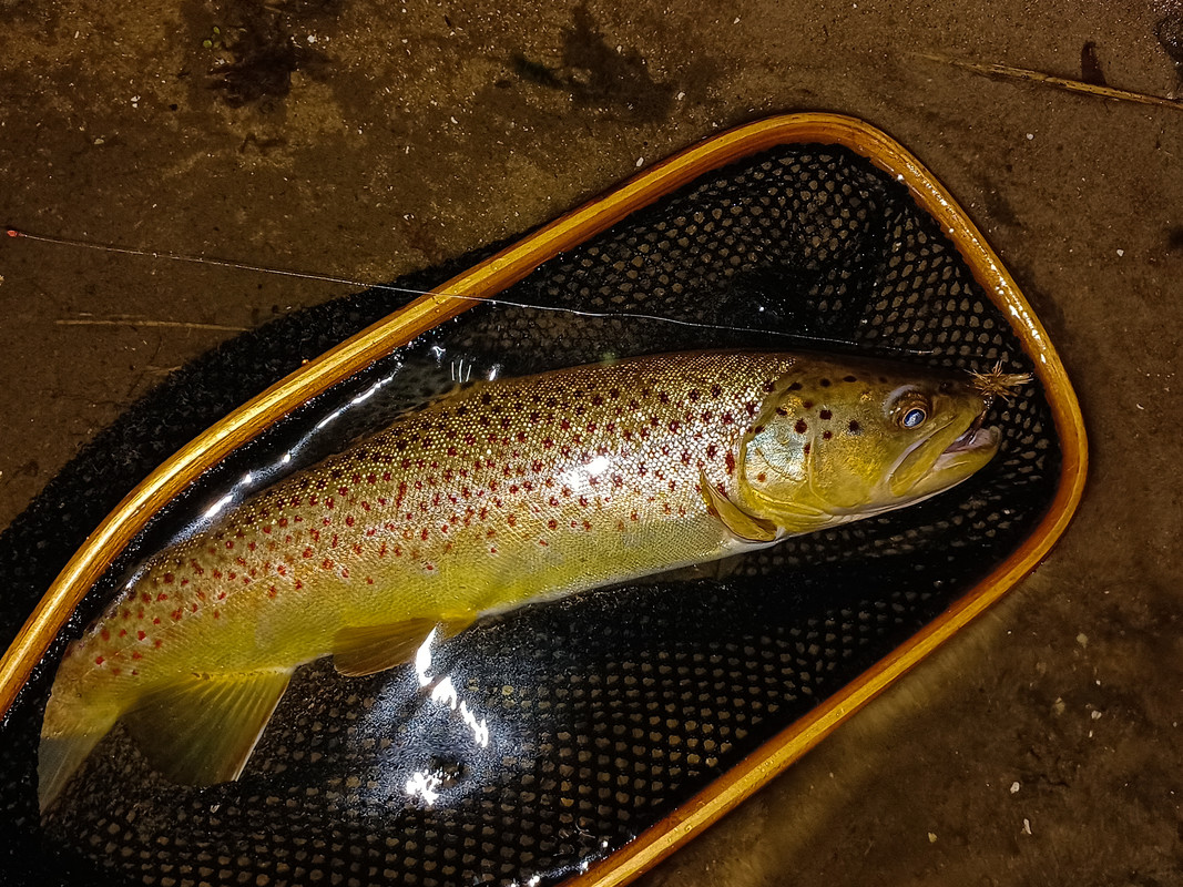 From #24 to #12 in 3 hours - The Classic Fly Rod Forum