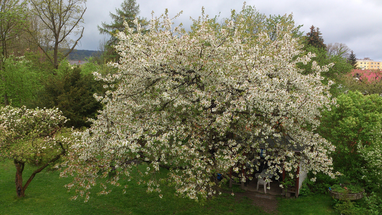 DSC 5082 — Postimages